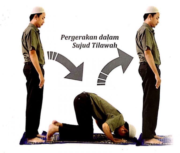 CARA & BACAAN SUJUD SAJADAH / TILAWAH (Lengkap)