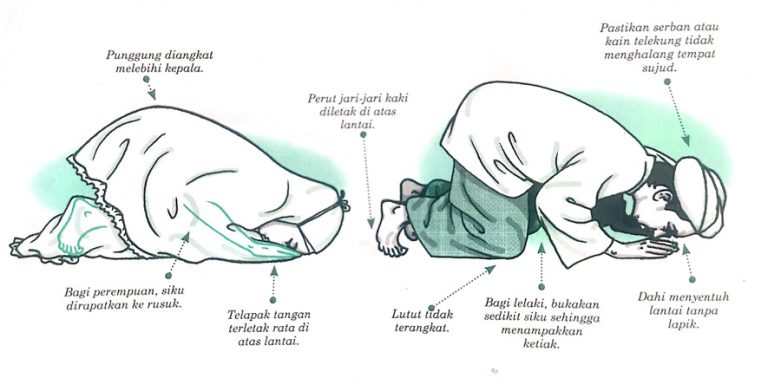 Cara SUJUD Yang Betul (Siri Panduan Solat Sempurna) • Aku Islam