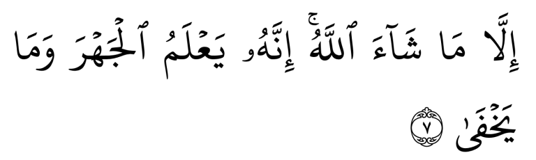 SURAH AL A'LA RUMI (Transliterasi, Audio & Terjemahan)